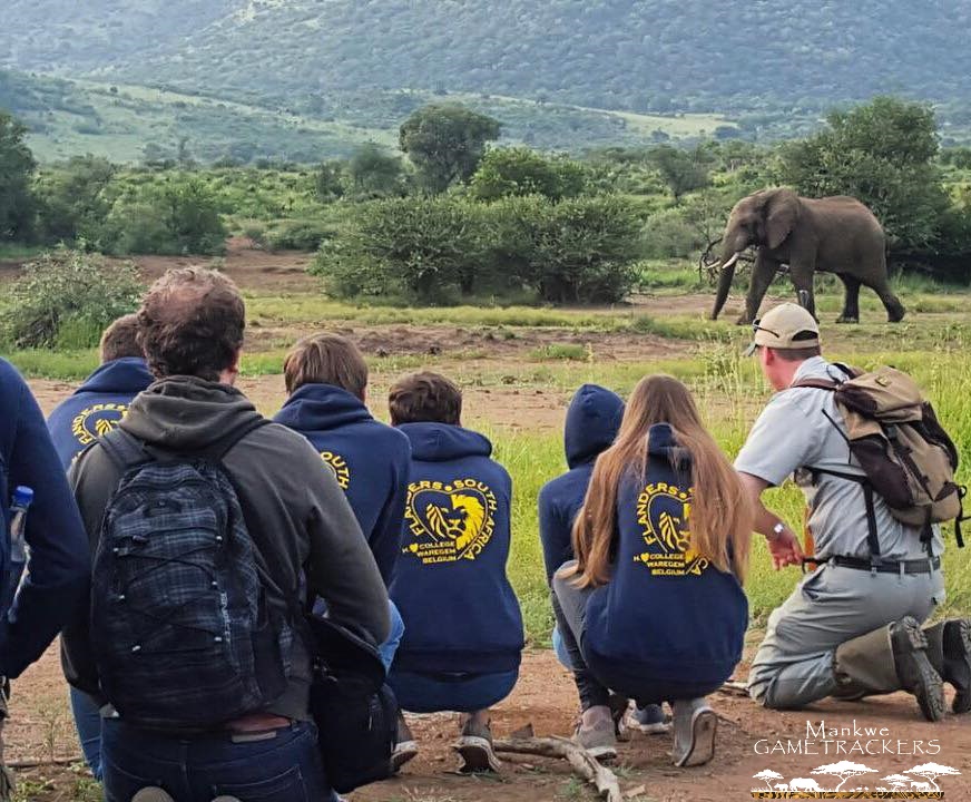 Game Drives | Activities